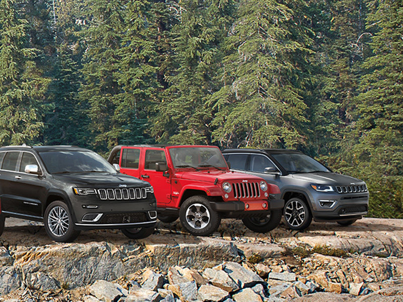 What Is Your Vehicle Worth? Find Out Here For FREE From Pettus Automotive